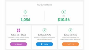 25 Best Online Surveys That Pay Cash - SurveyLeo